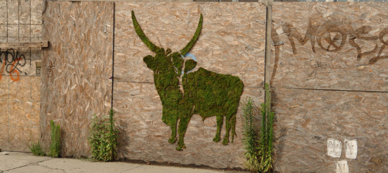 Eco Friendly Graffiti & Environmentally Friendly Green Street Art Solutions